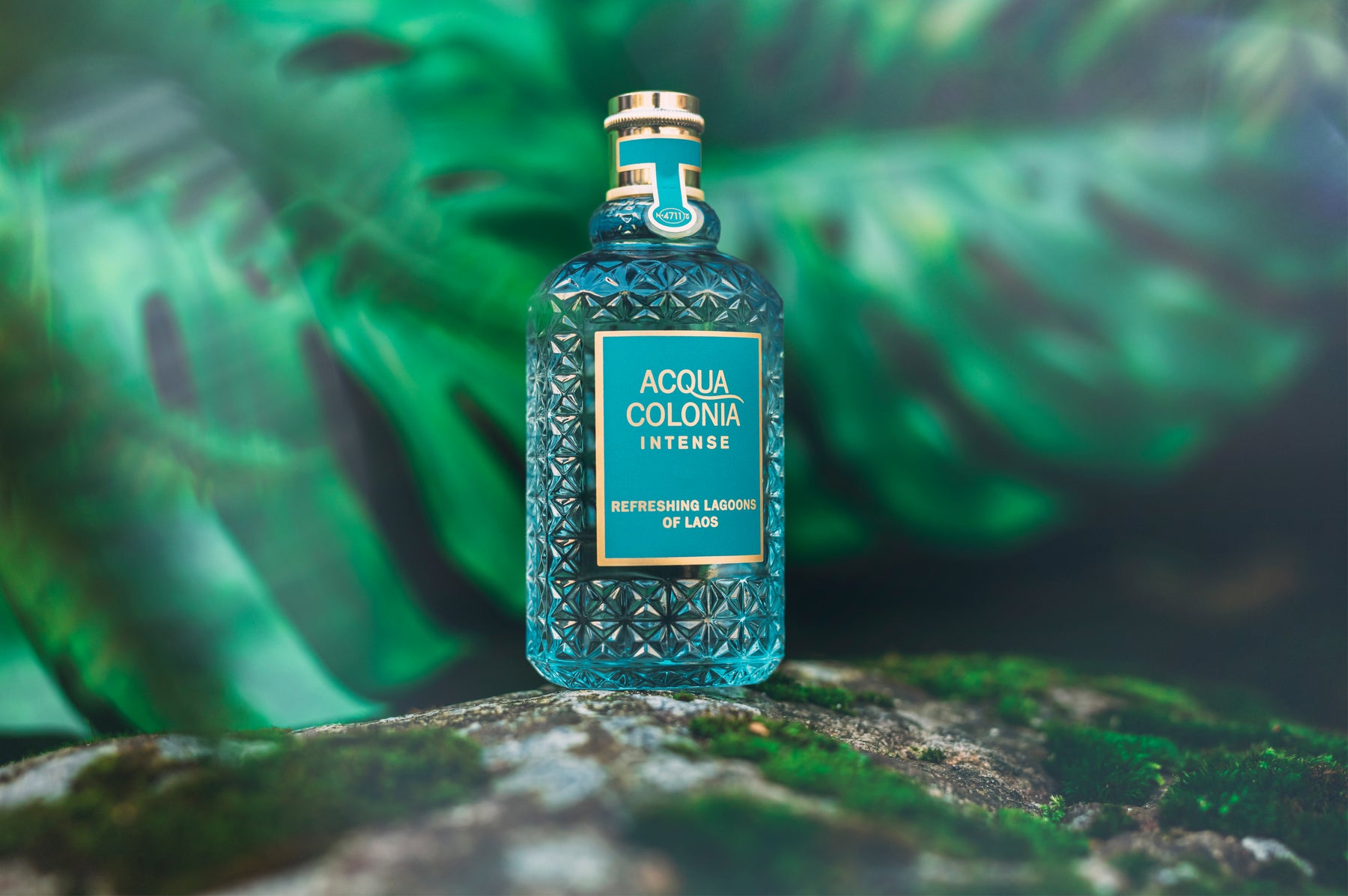 4711 Acqua Colonia Intense – Fragrances full of longing & nature